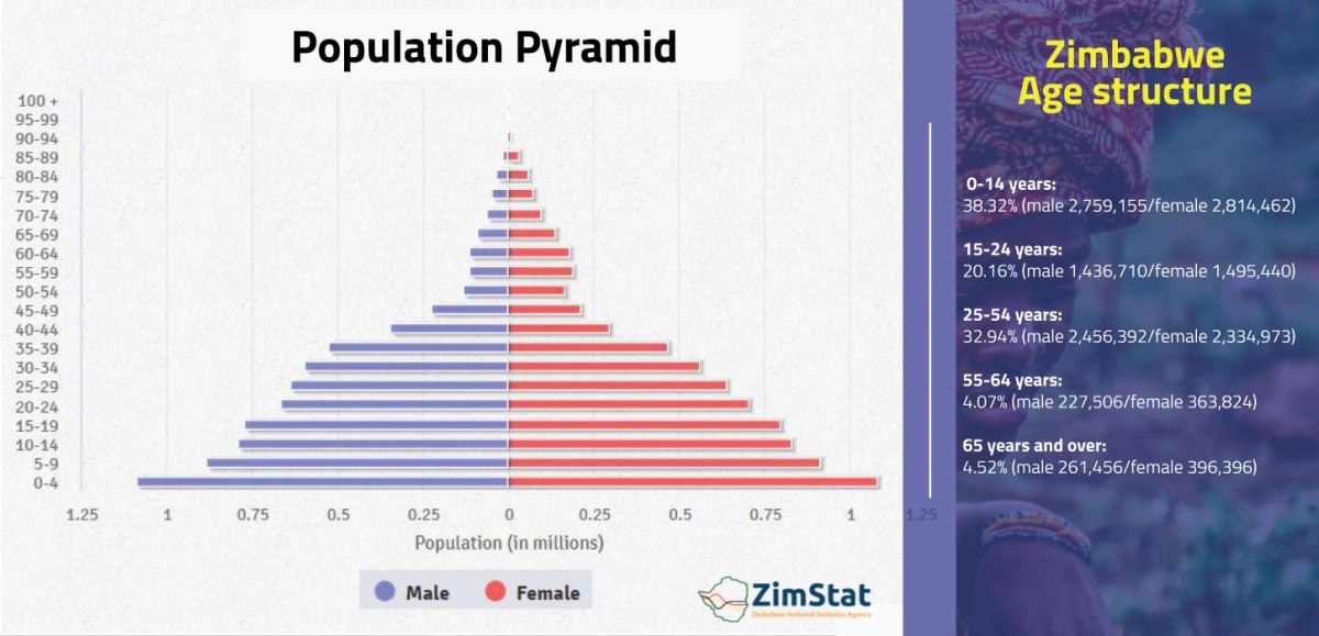 Investigation: Do not believe Zimstat figures about Zimbabweans in SA ...